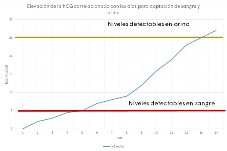 Caducidad Corta - Prueba rápida de embarazo HCG en orina - Amunet ...