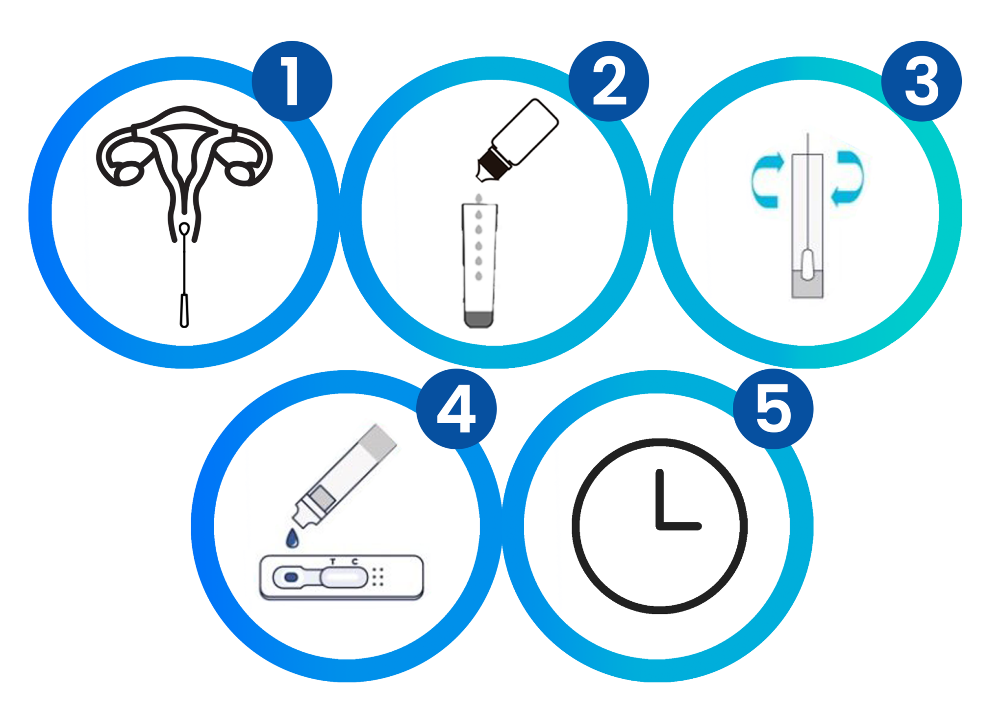 Caducidad Corta - Prueba rápida de Candidiasis vaginal - Amunet ...