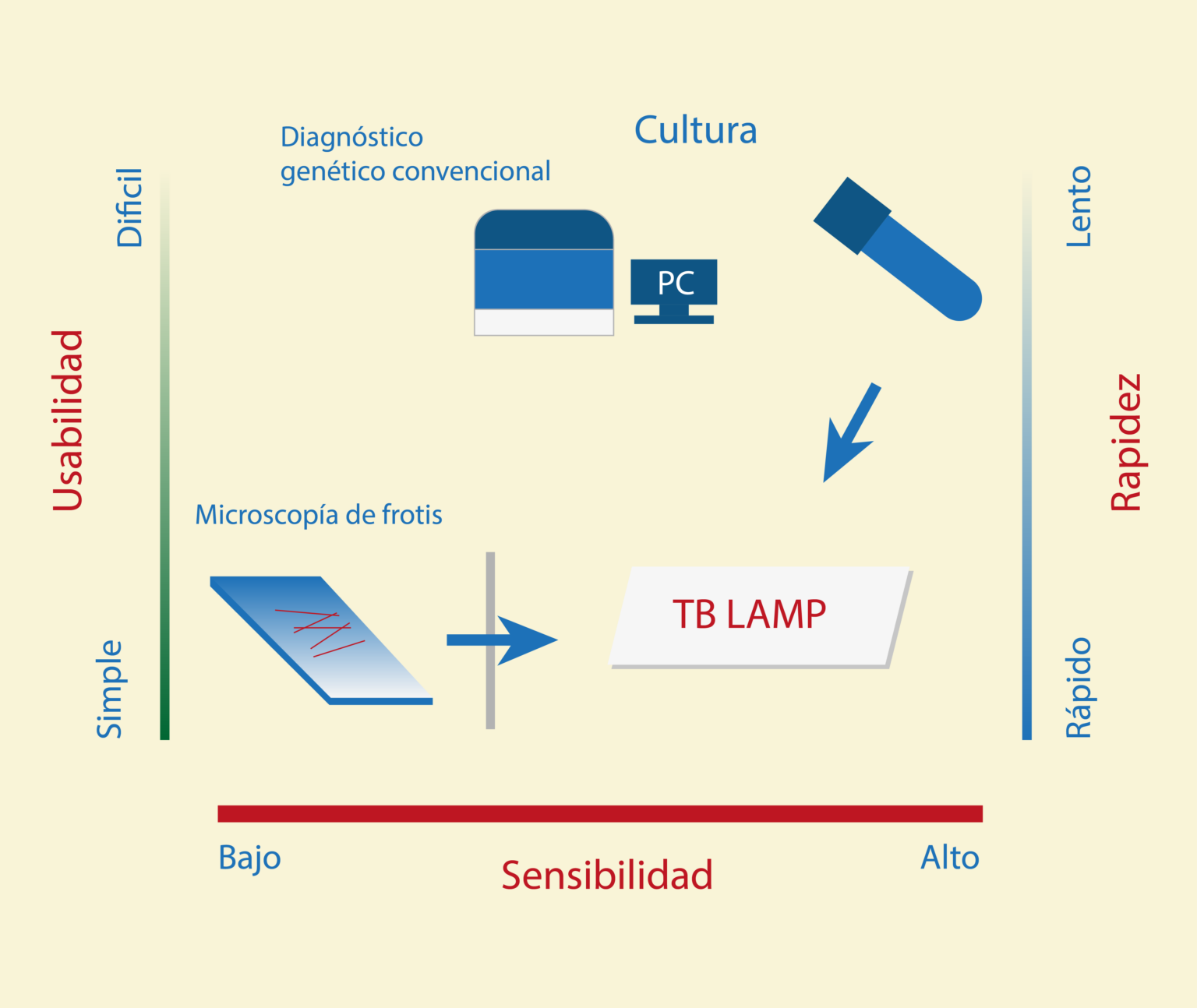 Prueba PCR RT-LAMP Tuberculosis - Amunet Laboratorio