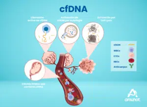 ¿Qué es cfDNA? - Amunet Laboratorio Portable